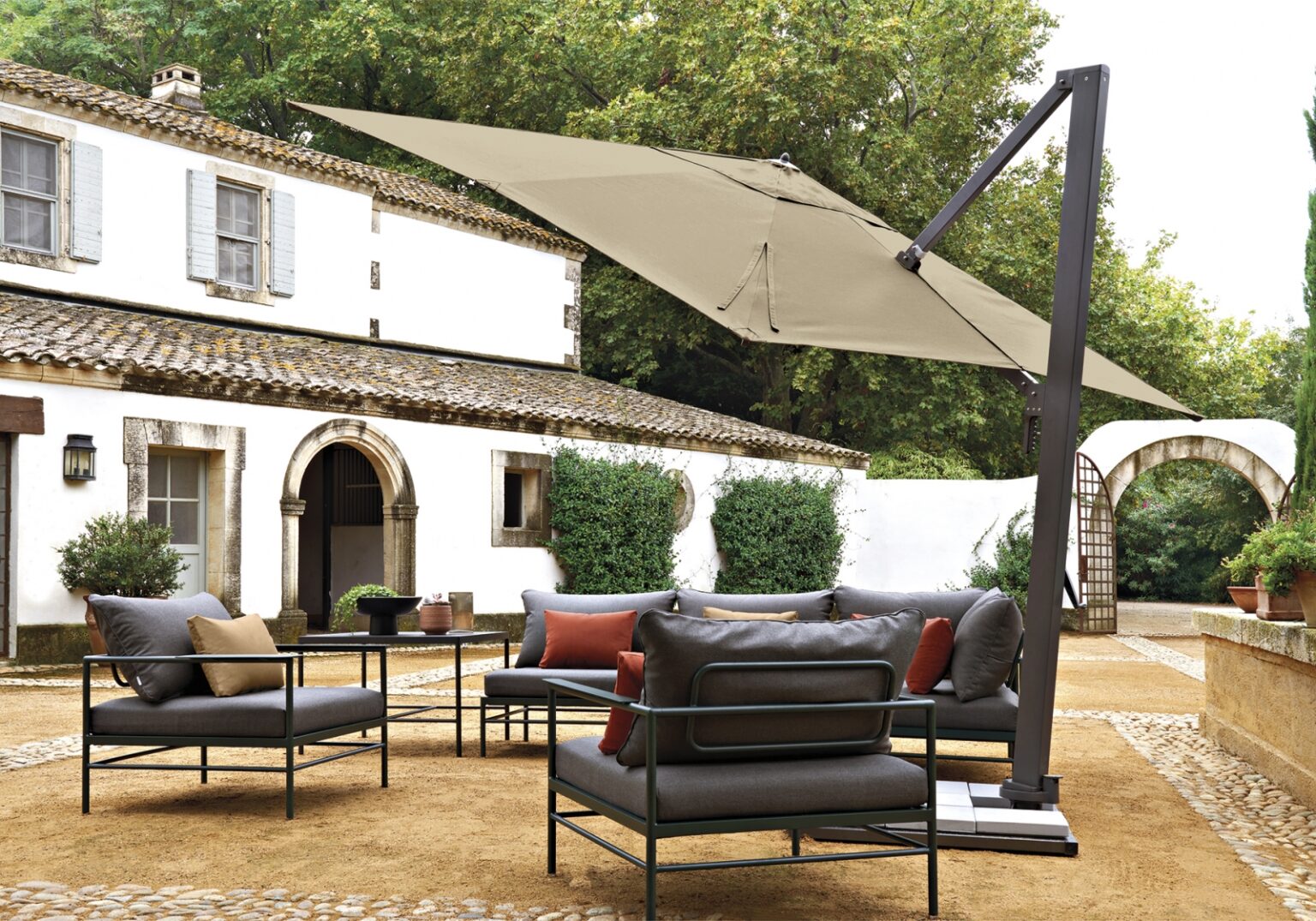 Grands Parasols - Le Pin Parasol, Strasbourg, Bas-Rhin
